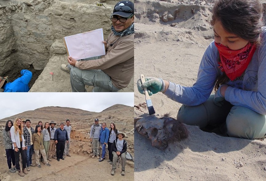 El Campanario Archaeological Project. Huarmey - Peru (Bioarchaeology ...