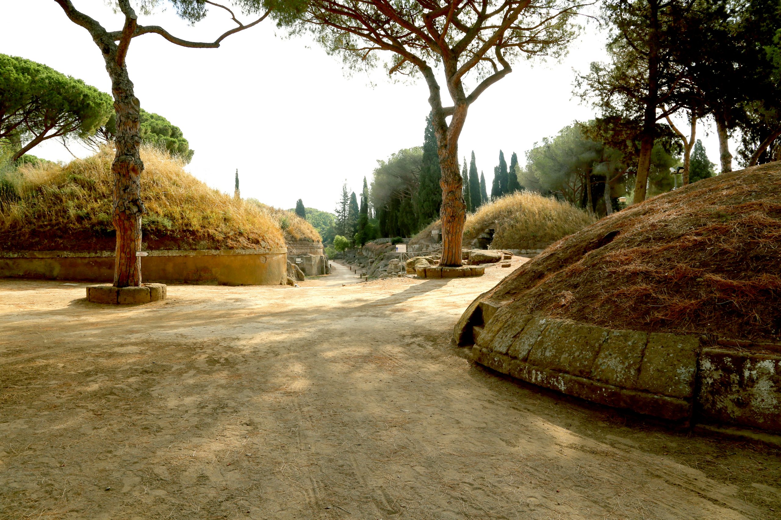 AIA Tours - The Legacy of the Etruscans: Latium, Umbria & Tuscany ...