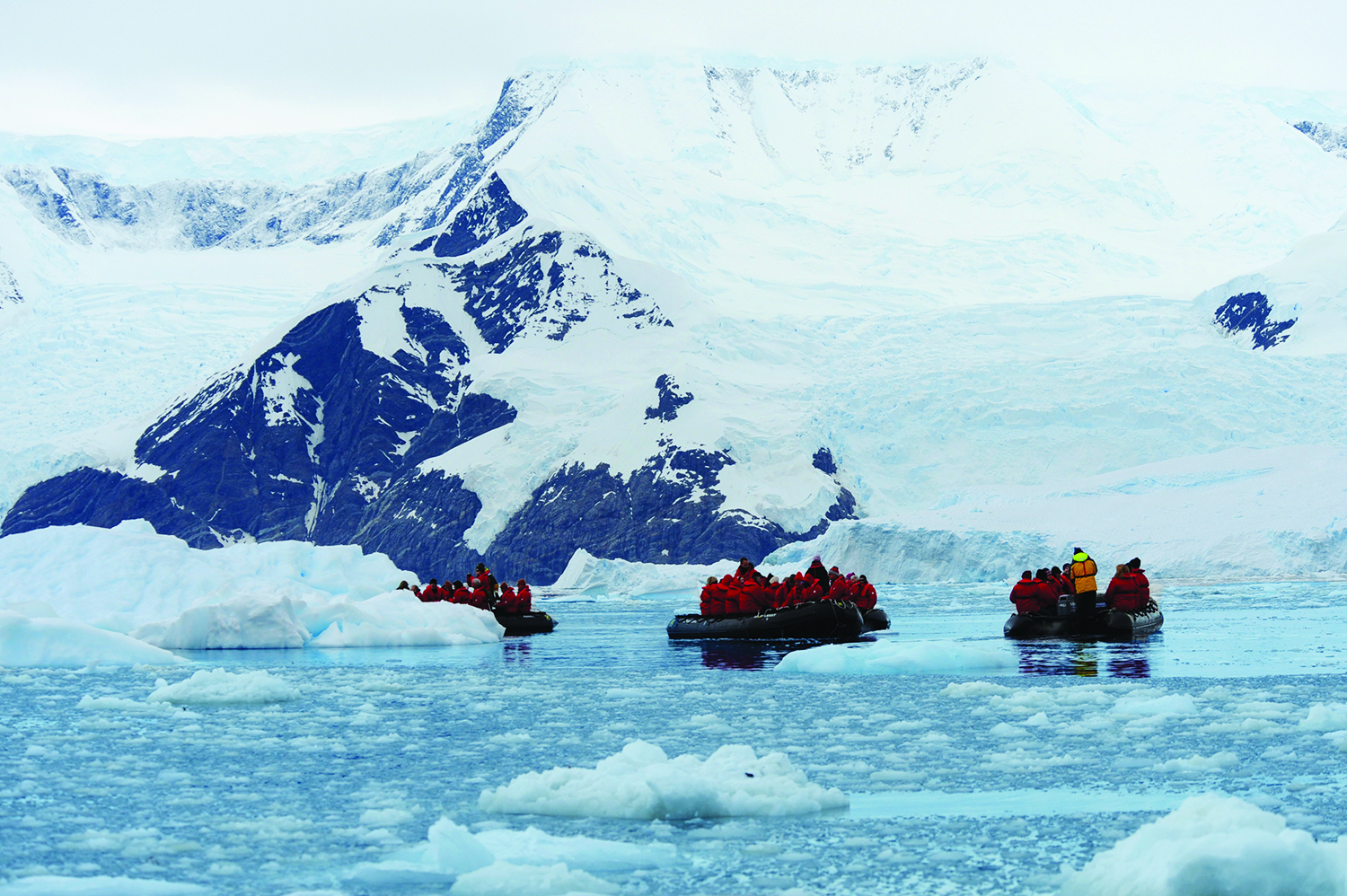 AIA Tours - Expedition to Antarctica - Archaeological Institute of America