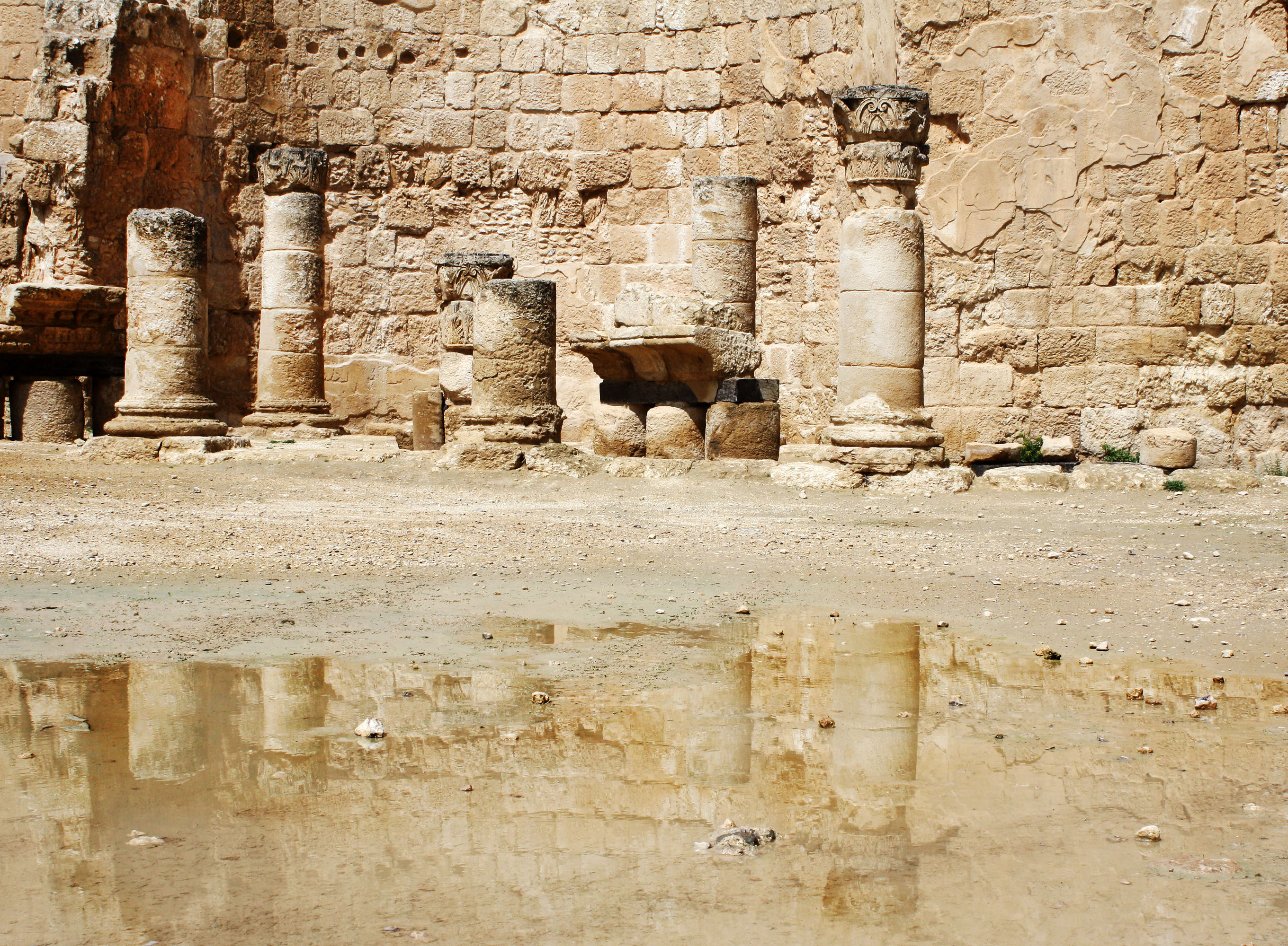 Entry 10421 - Archaeological Institute of America