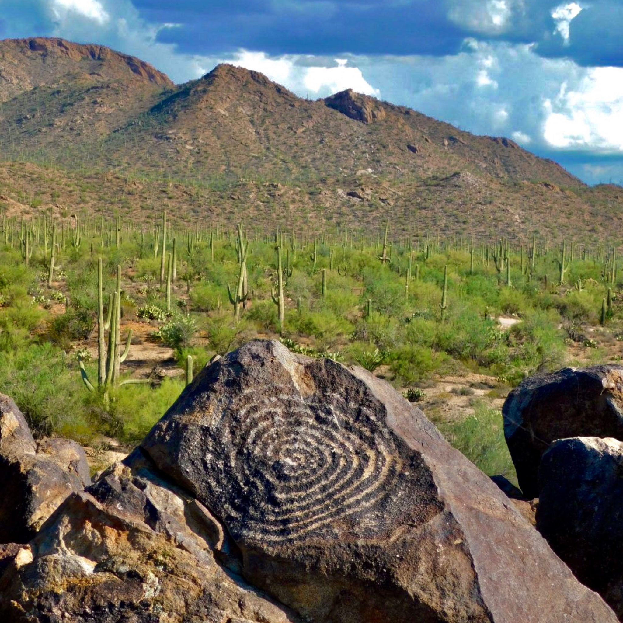 Entry 10455 - Archaeological Institute of America