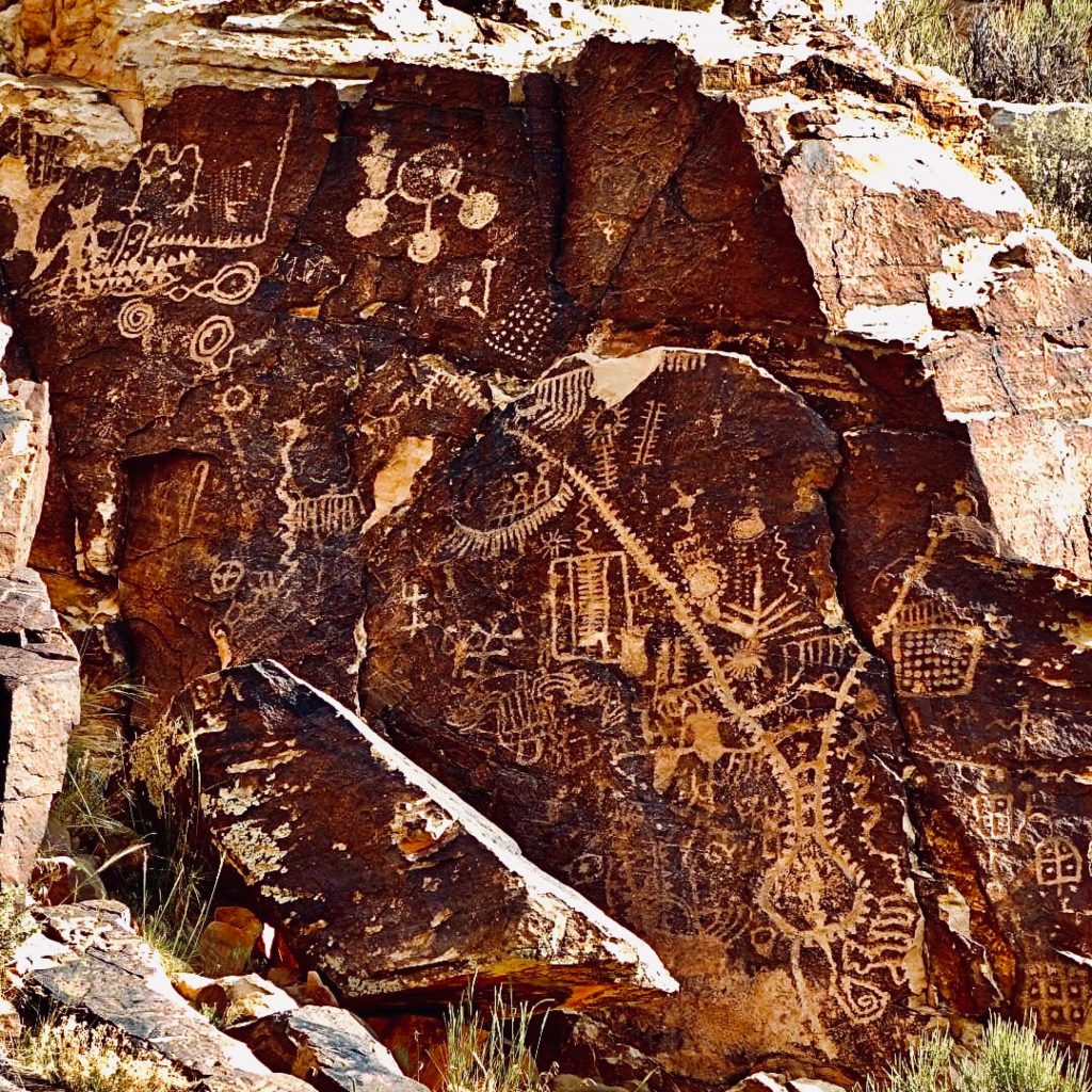 Entry 10465 - Archaeological Institute of America