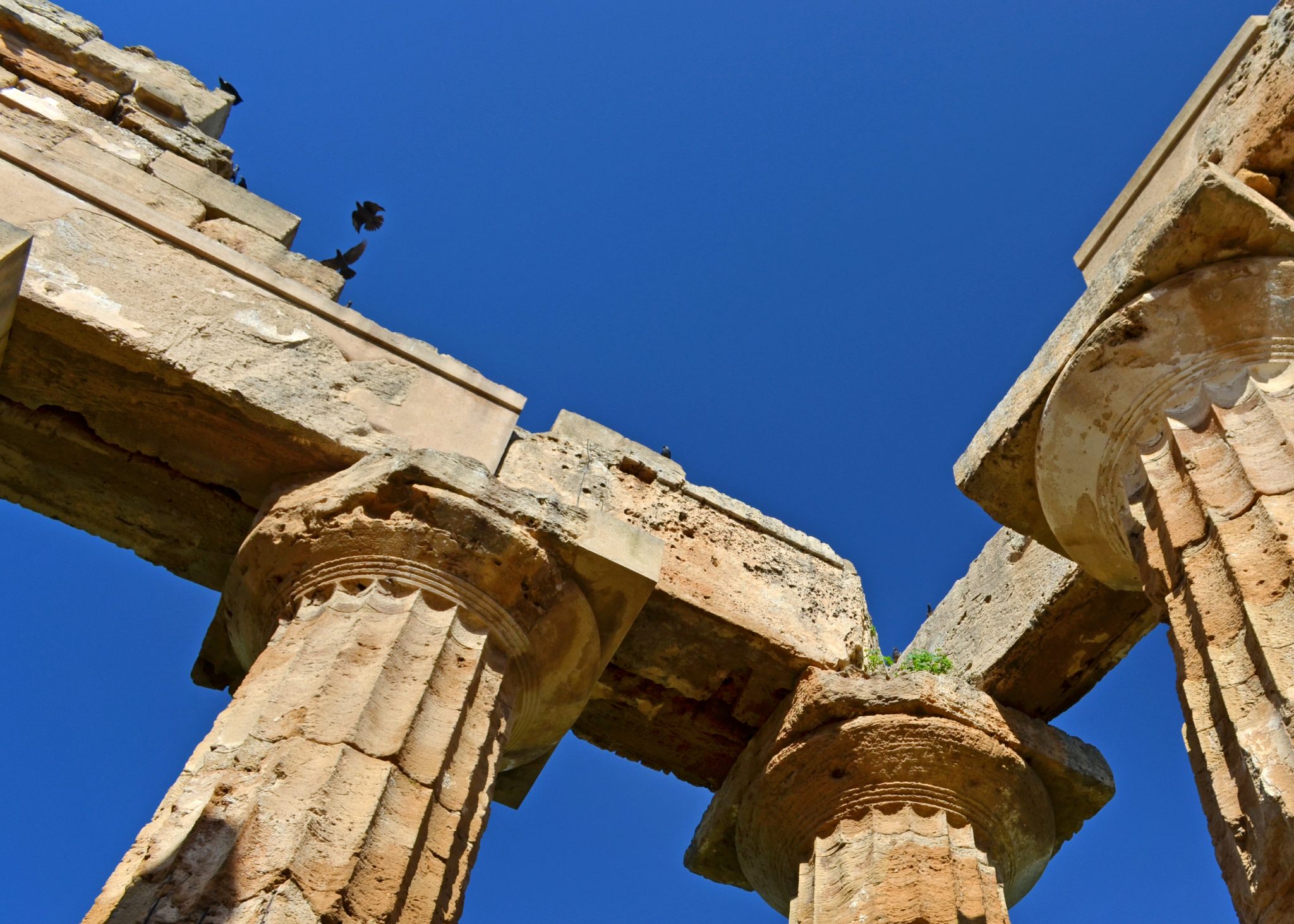 Entry 10581 - Archaeological Institute of America