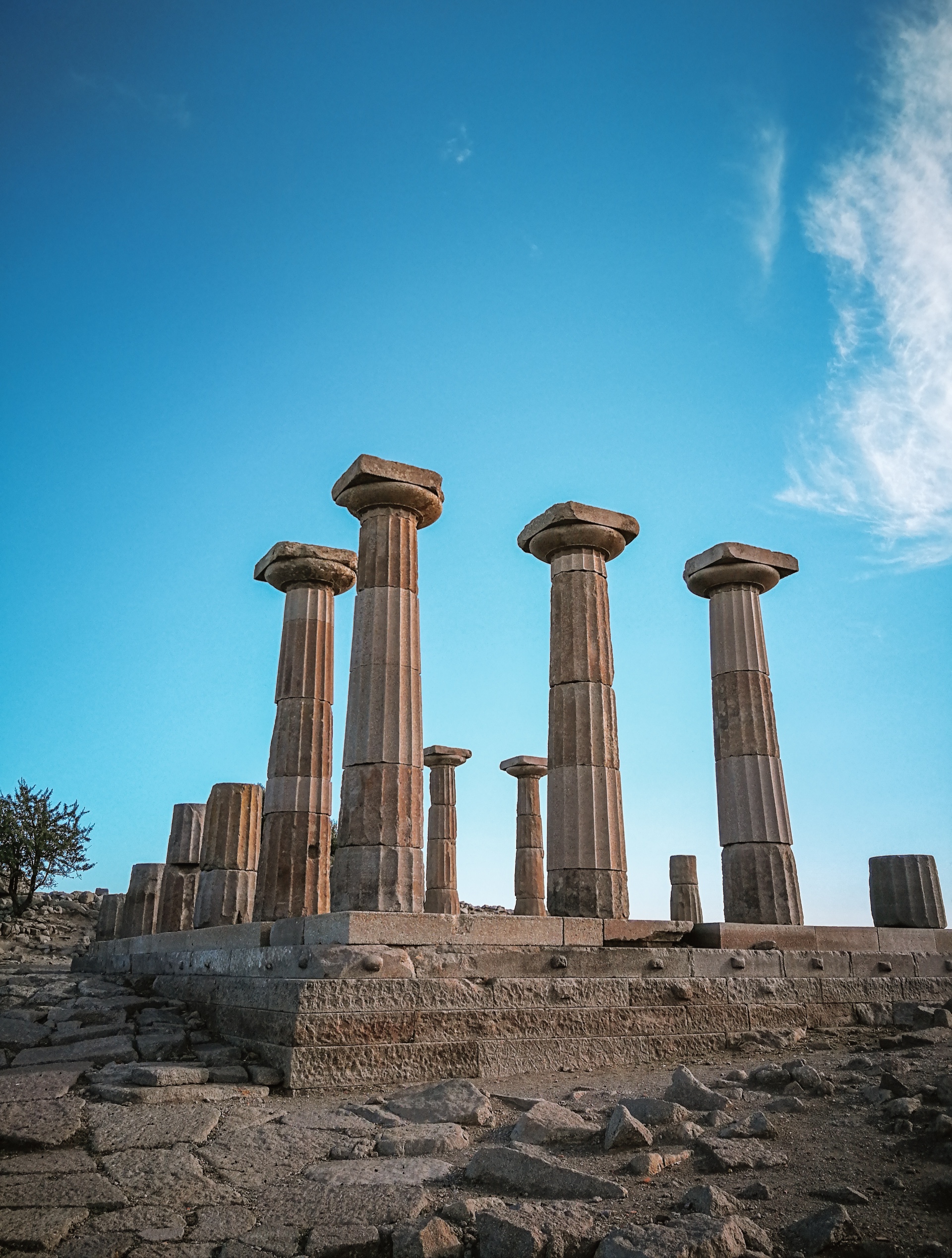 Entry 10432 - Archaeological Institute of America