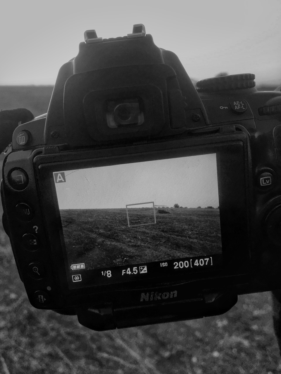 News - 2020 AIA Photo Contest Results - Archaeological Institute of America