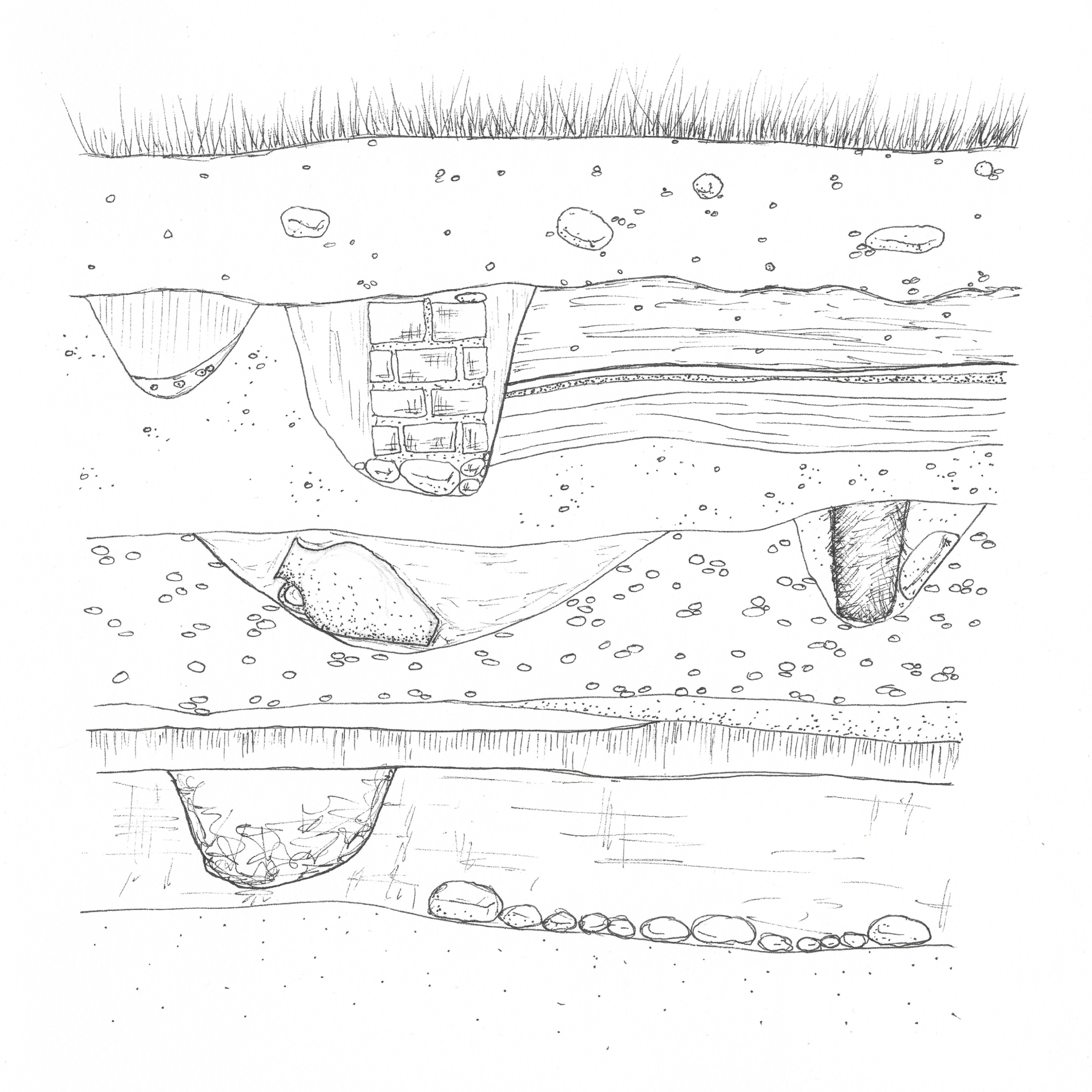 ArchaeoDoodle 39546 - Archaeological Institute of America