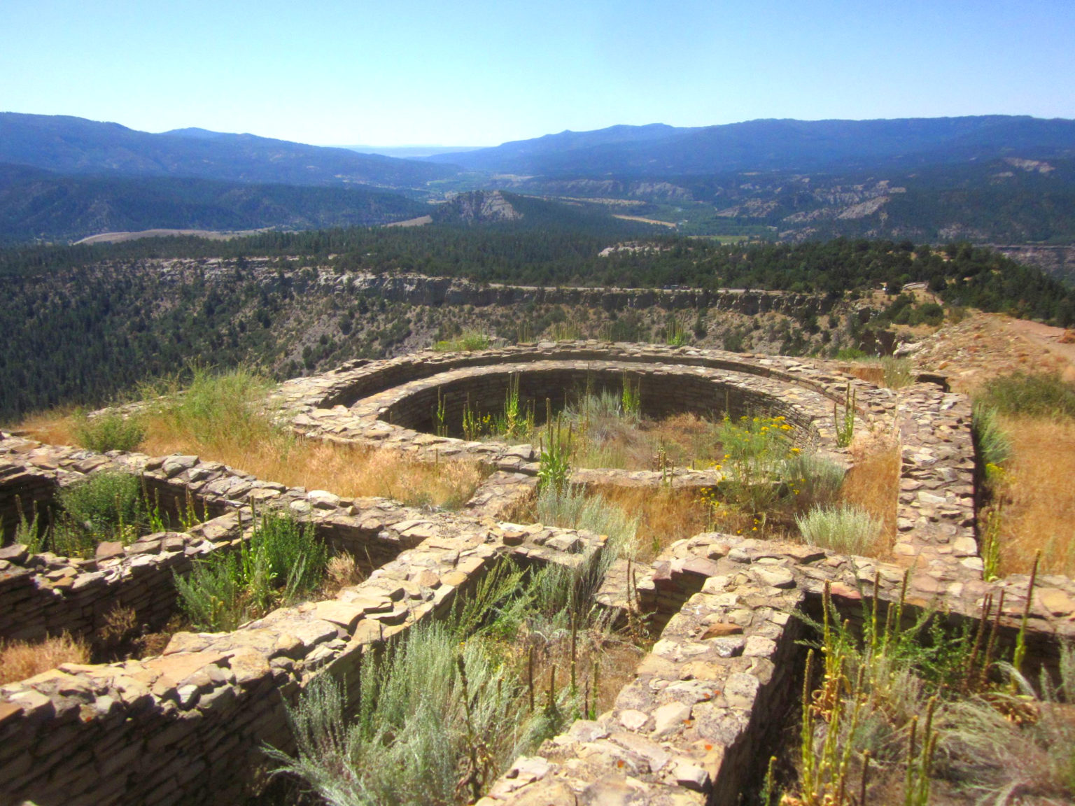 Entry 41218 - Archaeological Institute of America