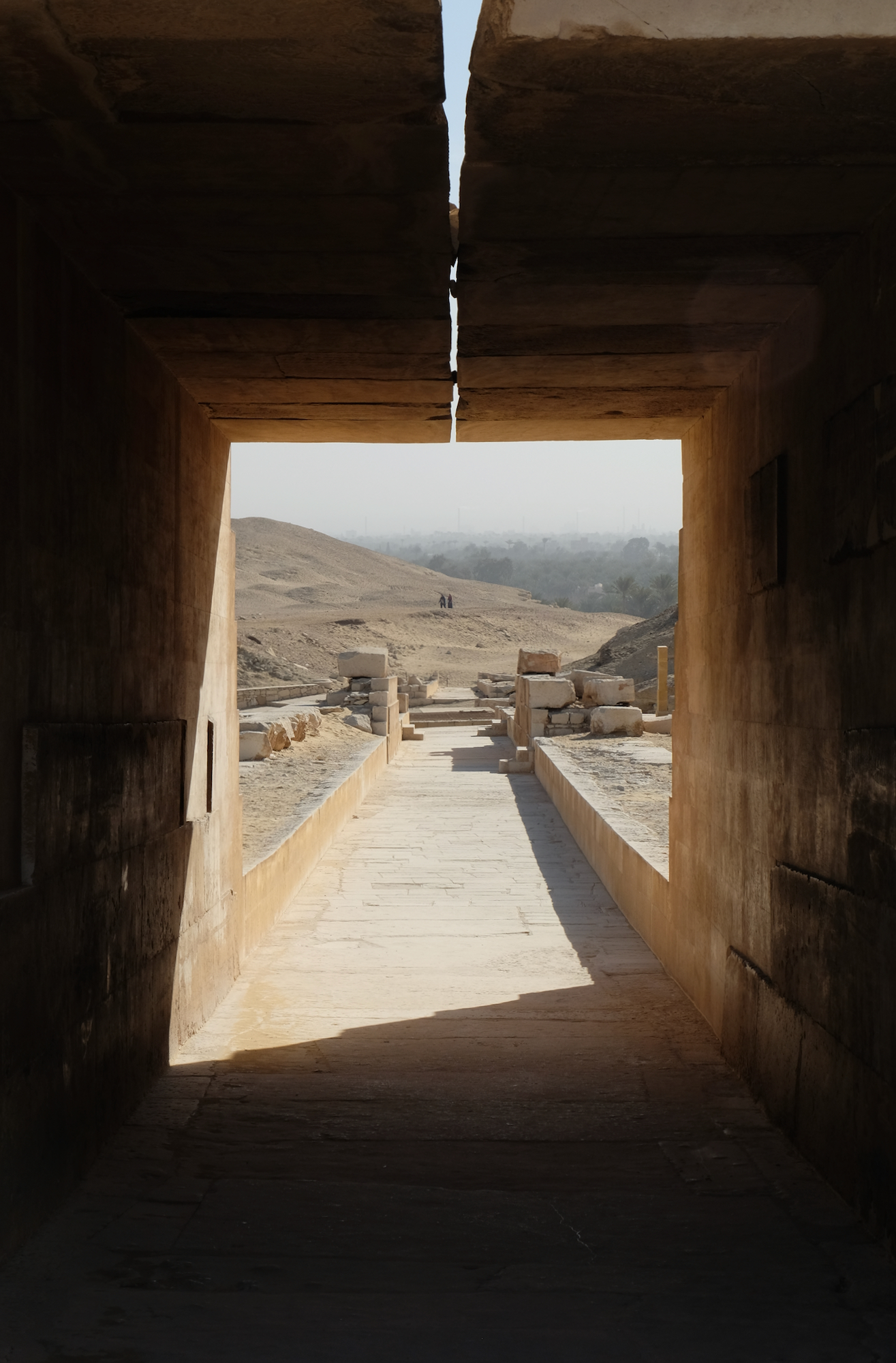 Entry 41021 - Archaeological Institute of America