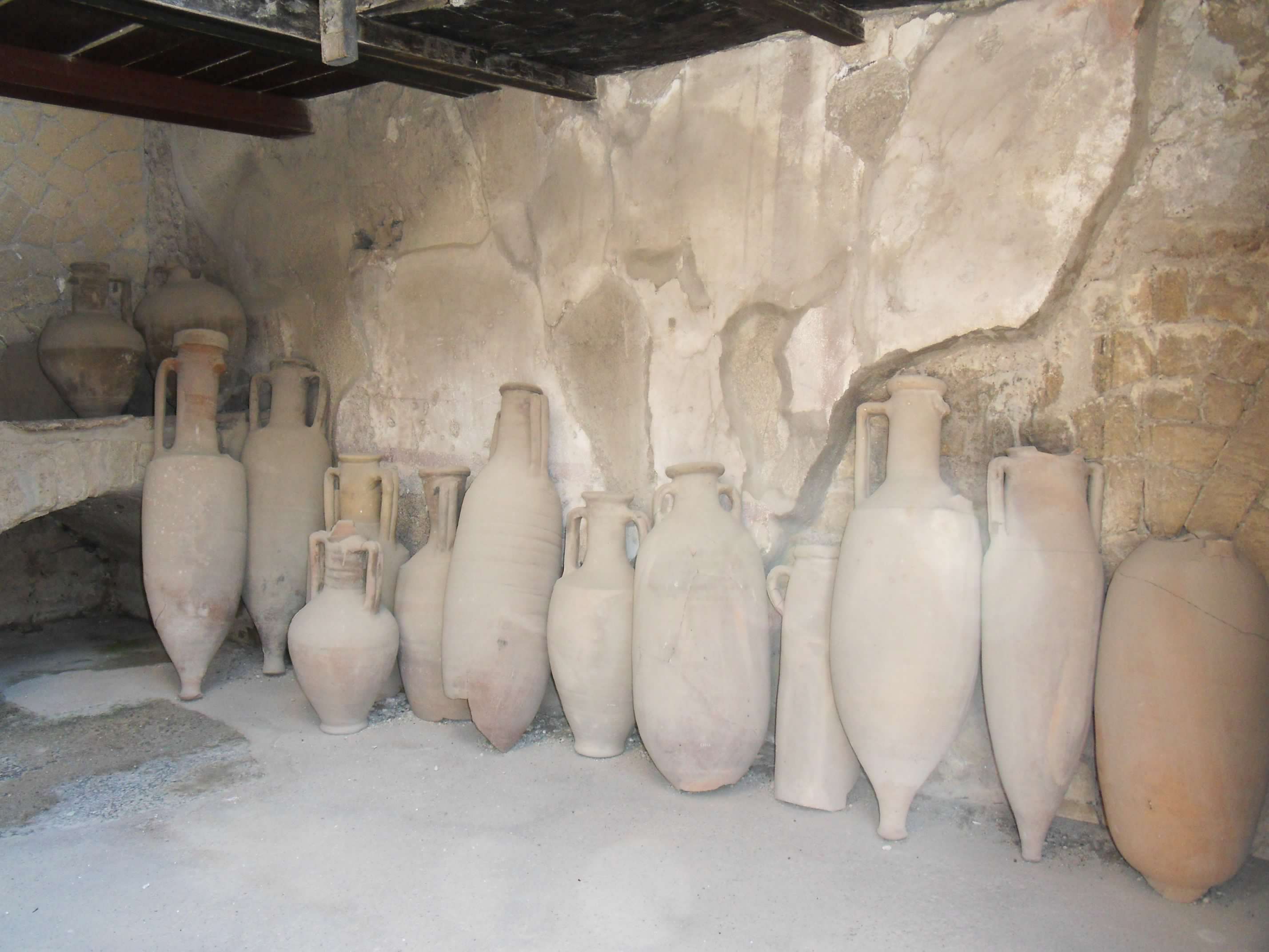 Entry 41272 - Archaeological Institute of America