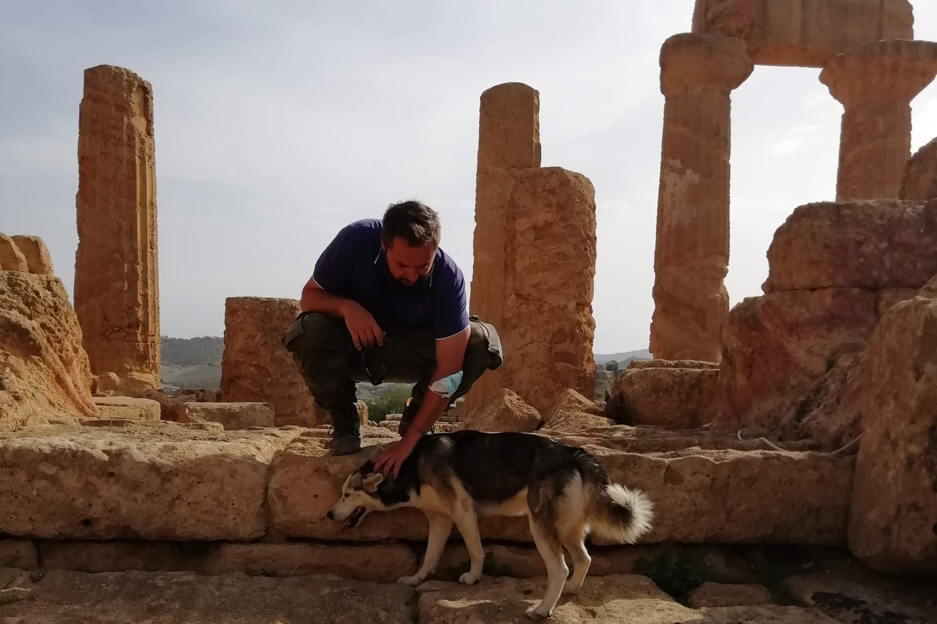 Entry 41322 - Archaeological Institute of America