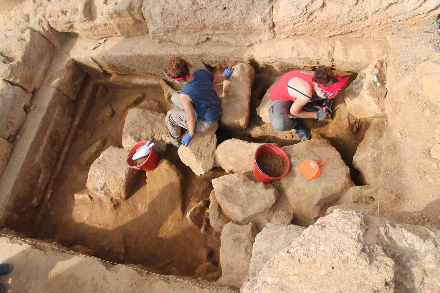 Entry 41308 - Archaeological Institute of America