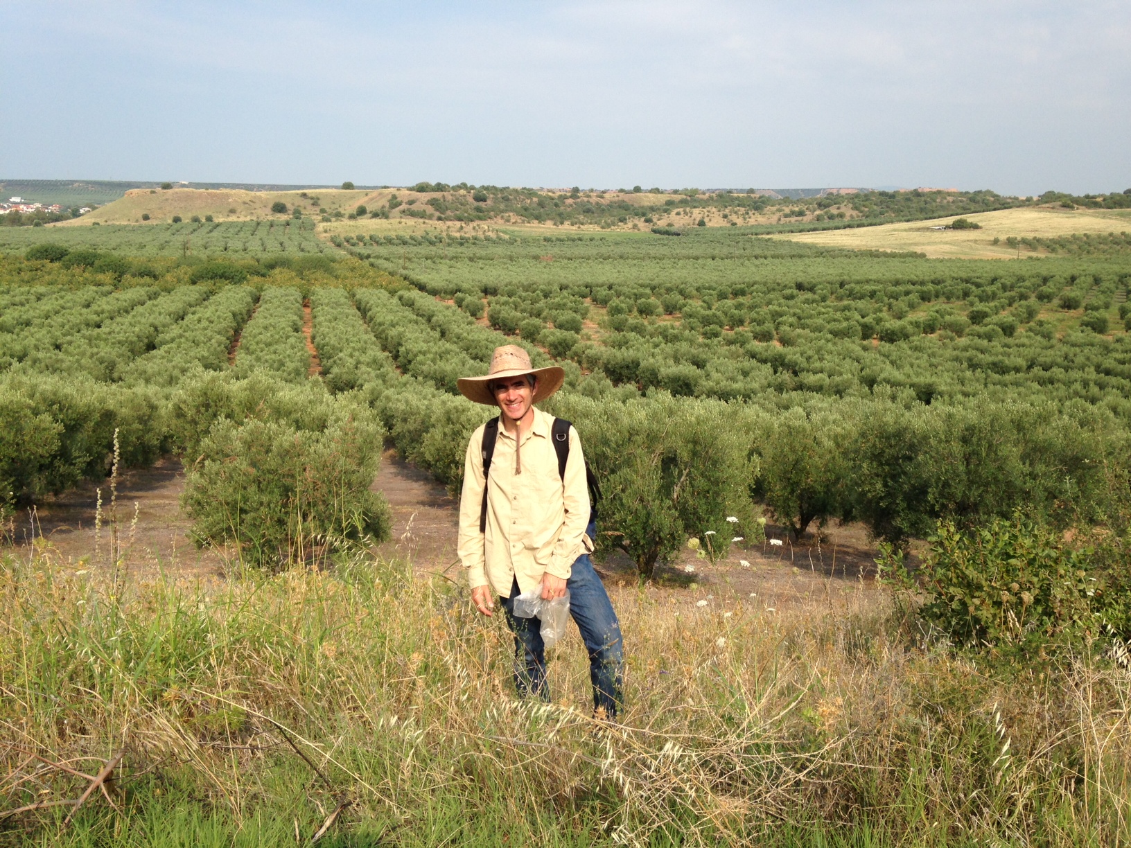 News - Member Spotlight: David L. Stone - Archaeological Institute of ...