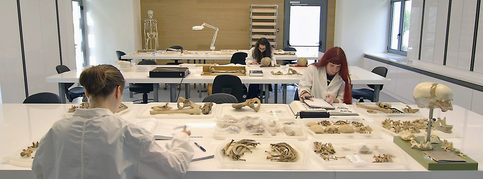 Introduction to Bioarchaeology Course - Archaeological Fieldwork ...