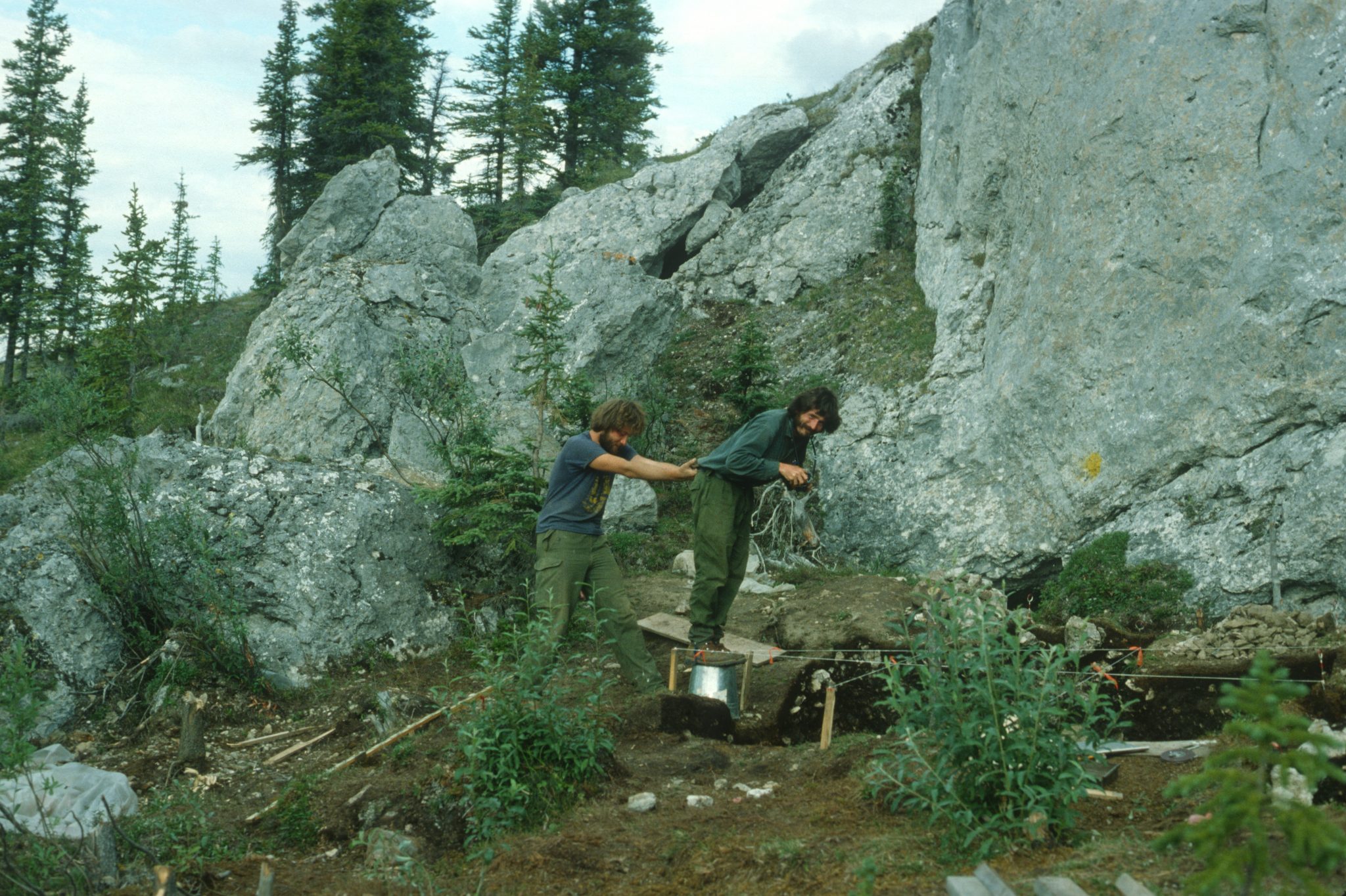 Entry 51890 - Archaeological Institute of America