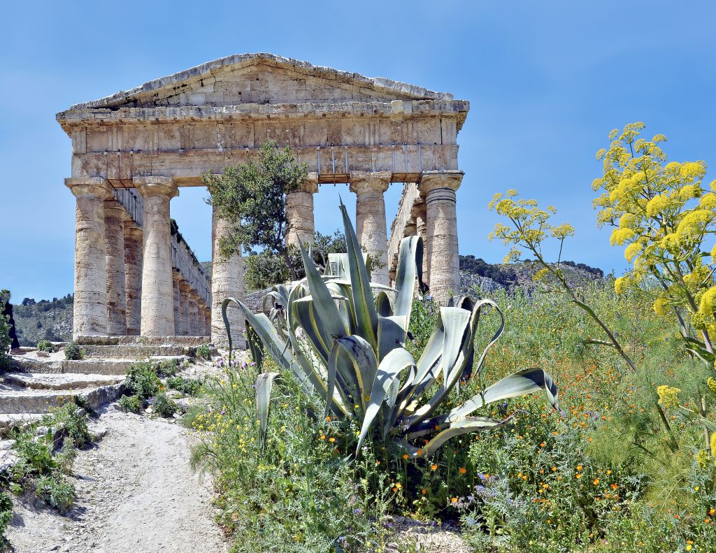 Entry 51992 - Archaeological Institute of America