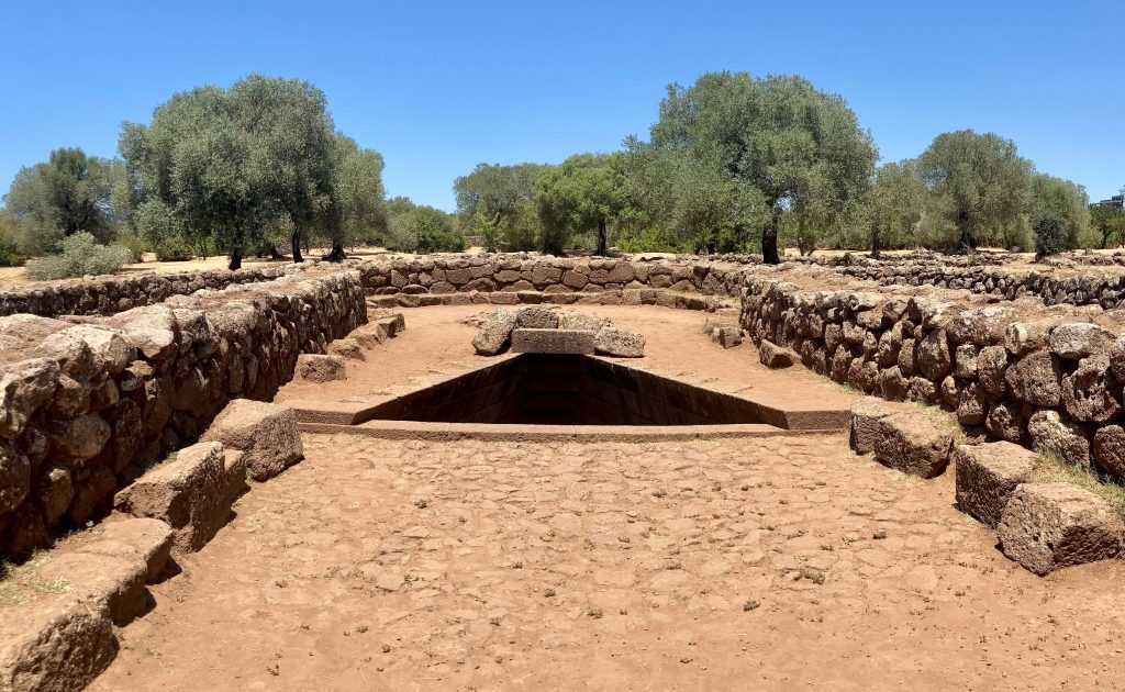 Entry 51950 - Archaeological Institute of America