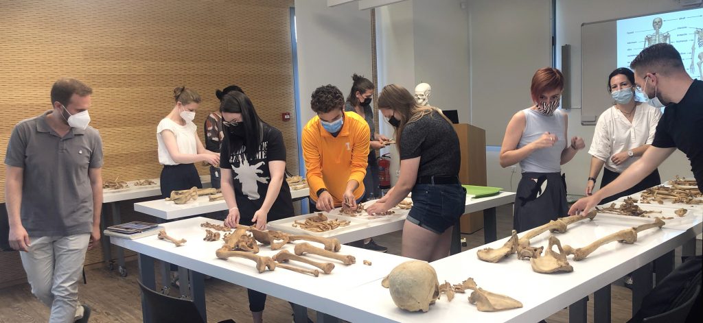 Introduction to Bioarchaeology Course - Archaeological Fieldwork ...