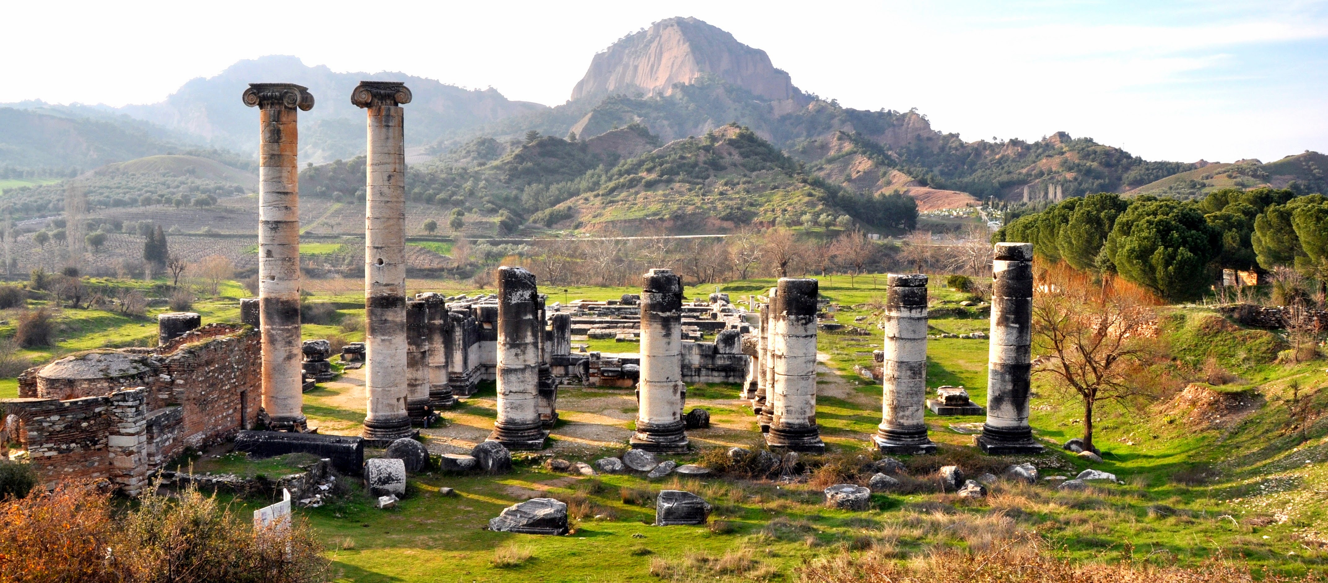 Entry 51897 - Archaeological Institute of America