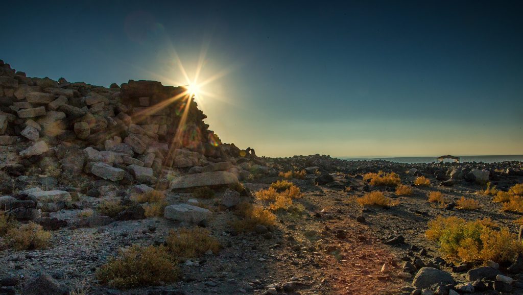 Archaeological Institute of America - Archaeology - Site Preservation