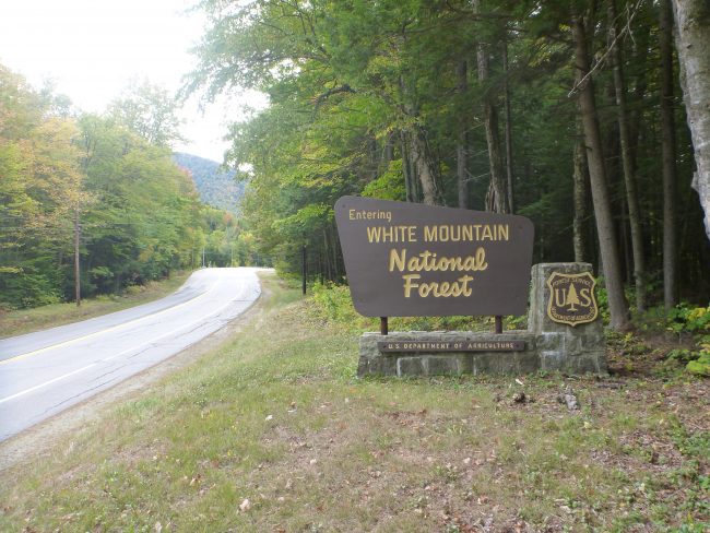 AIA Event Listings - White Mountain National Forest Archaeology: An ...