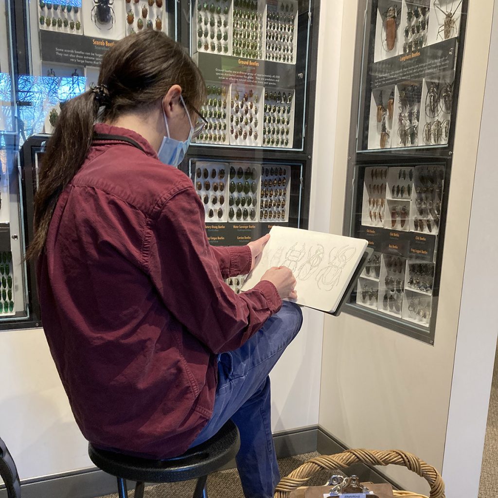 AIA Event Listings - Let’s Draw: HMSC Sketching Weekend - Harvard ...