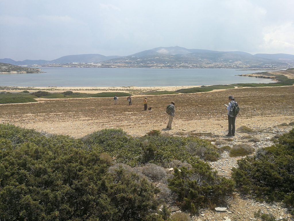 News - What Secrets do Currently Uninhabited Small Cycladic Islands ...