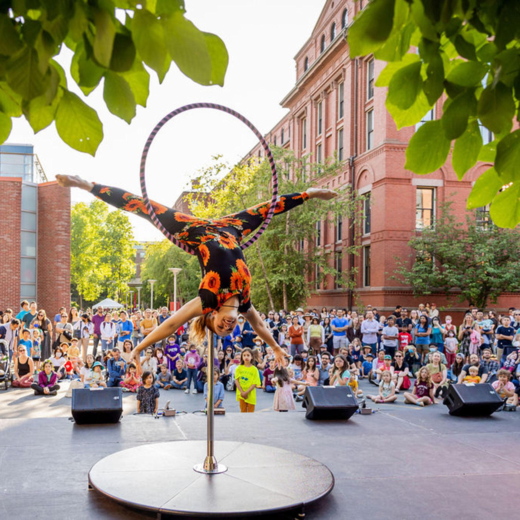 AIA Event Listings - Summer Solstice Celebration: Night at the Harvard ...