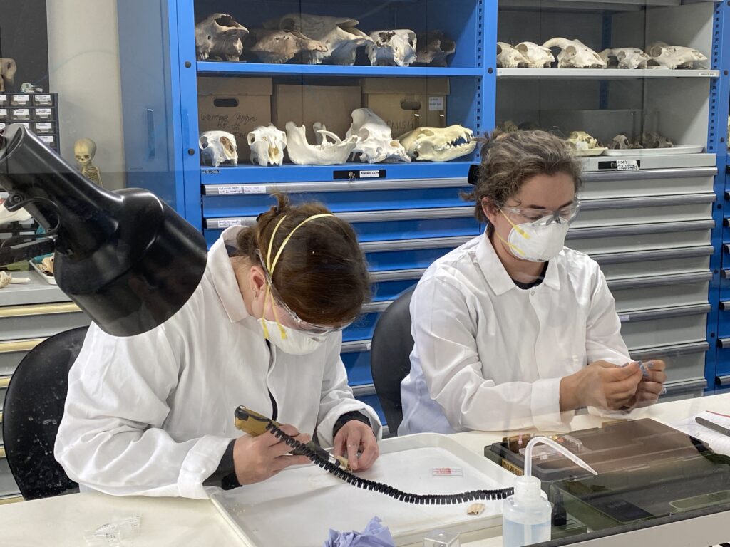 2026 UK Isotope Analysis Lab (Summer & Winter Sessions ...